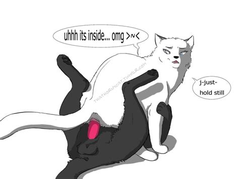 rule 34 balls cowgirl position dialogue duo english text