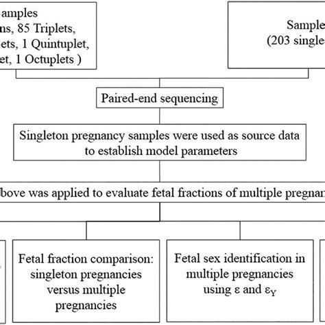 Results Of Fetal Sex Identification In Triplet Pregnancies Download