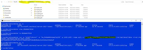 using sql server 2017 docker container for local web api