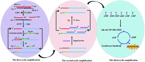 Chemical Biology Chemical Communications Blog