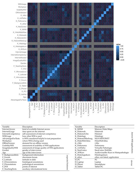 Spearman Rank Correlation Coefficient Heat Map Of The Questionnaire