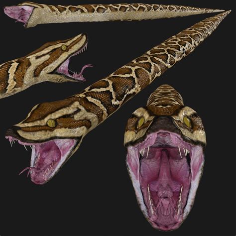 3d model realtime python cgtrader