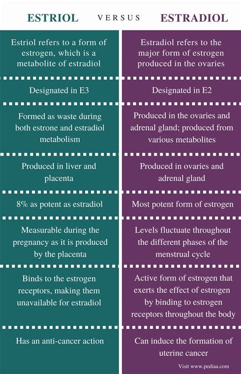 difference between estriol and estradiol definition facts role