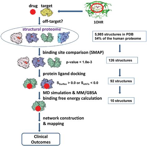 The Structural Proteome Wide Off Target Pipeline Integrating Ligand