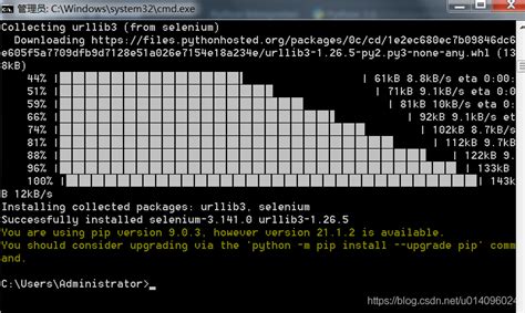 python pychram pytest environment setup