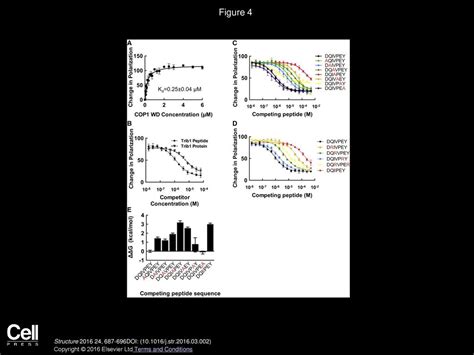 Structural Basis For Substrate Selectivity Of The E3 Ligase Cop1 Ppt