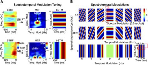 The Modulation Transfer Function And Best Spectrotemporal Modulation