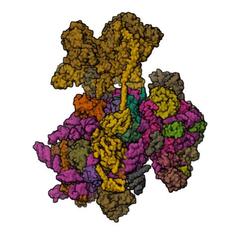 Rcsb Pdb 6zvj Structure Of A Human Abce1 Bound 43s Pre Initiation