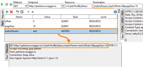 understanding rest parameters documentation soapui