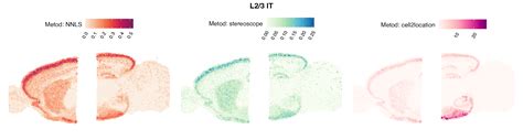 Comparison Of Cell Type Mapping With Nnls • Semla