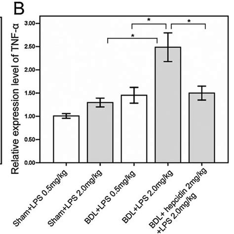 The Levels Of Serum Total Bilirubin Aspartate Aminotransferase