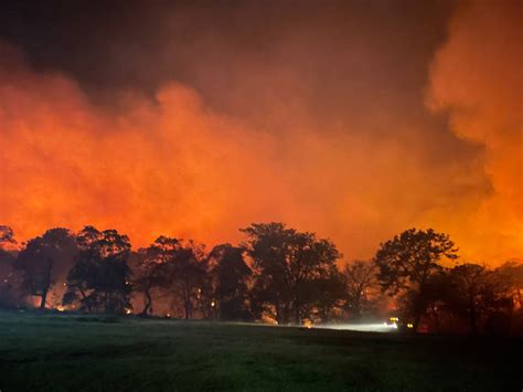 Controlan Incendio Forestal En Bosque La Primavera Jalisco Noticias