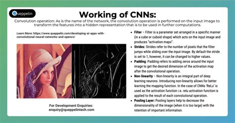 developing ai apps with convolutional neural networks and opencv
