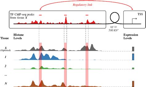 Figure 1 From Cismapper Predicting Regulatory Interactions From