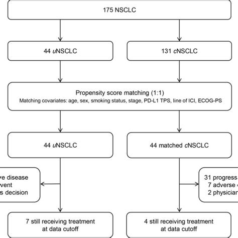 Objective Response Rate Orr And Disease Control Rate Dcr A Orr