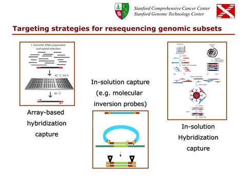 Ppt An Introduction To Next Generation Sequencing Powerpoint