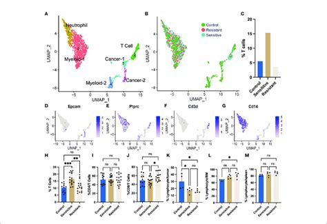 Single Cell Rna Sequencing Scrna Seq Of Tumors Following Dox