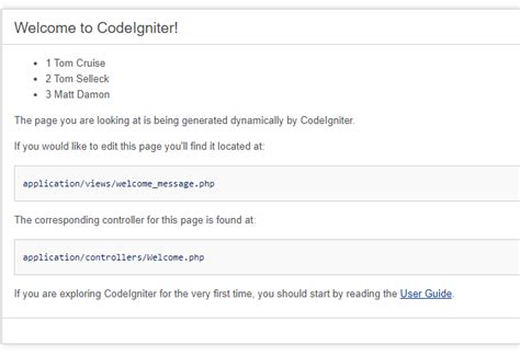 what is codeigniter and how does it work hire php coders
