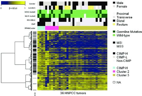Heatmap Representation Of Three Clusters Using Unsupervised Rpmm