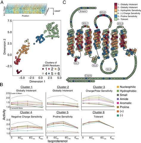 Figures And Data In Structural And Functional Characterization Of G