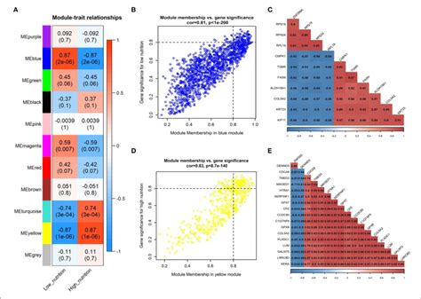 Module Trait Correlations Analysis In Subcutaneous Adipose Tissue