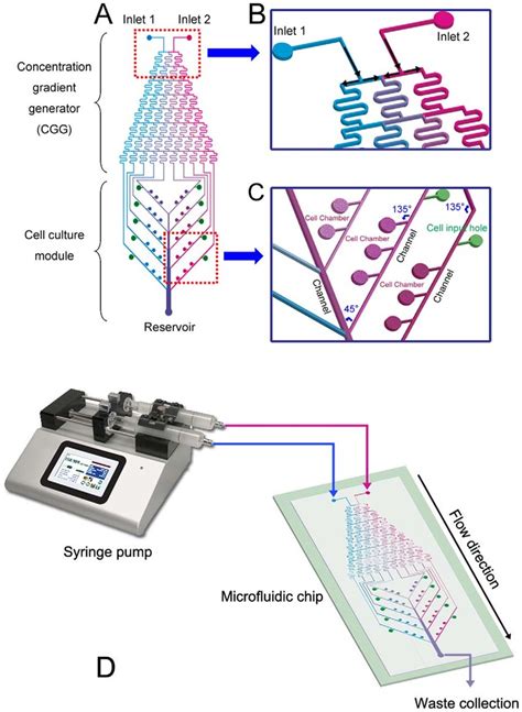 Microfluidic Device Design A Layout Of The Integrated Microfluidic