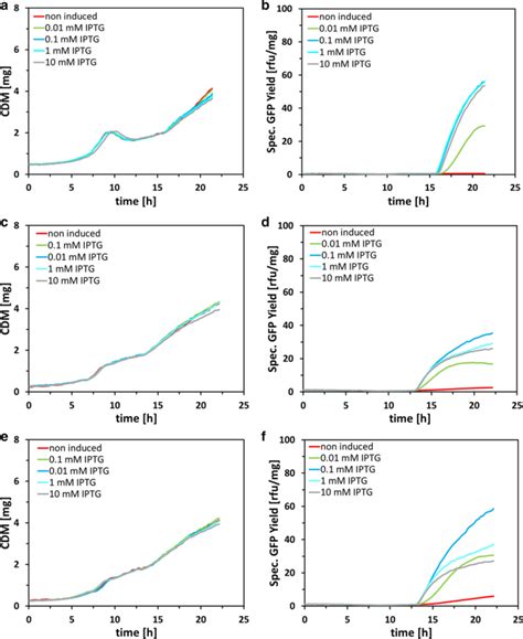 Tunable Expression Rate Control Of A Growth Decoupled T7 Expression