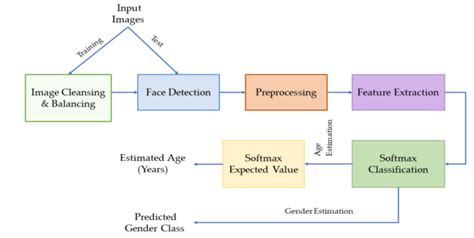 Applied Sciences Free Full Text Deep Learning Based Real Age And