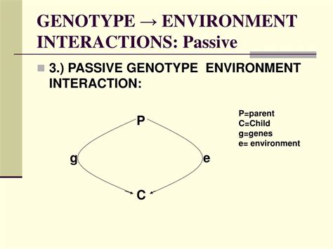 Ppt Chapter 2 Lecture Notes And Behavior Genetics Powerpoint