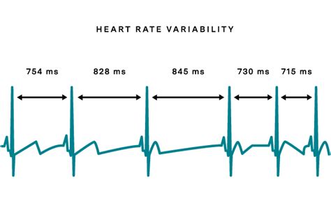 Heart Rate Variability 101 Lief Blog