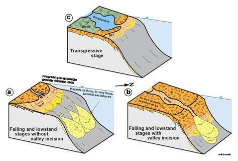 Spatial And Temporal Variations In Depositional Systems In The Kazusa