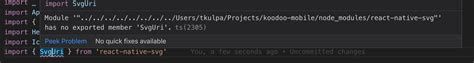 react native svg index has no exported member svguri · issue 1089