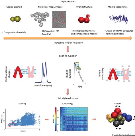 Hybrid Mass Spectrometry Towards Characterization Of Protein