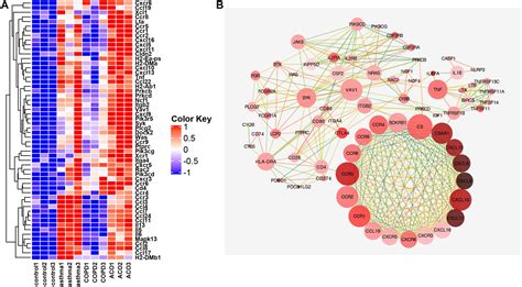 Frontiers Comparative Rna Seq Transcriptome Analysis On Pulmonary