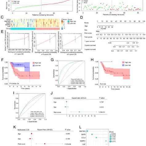 Construction And Validation Of The Nomogram A Risk Score