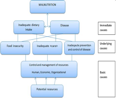 Unicef Model Malnutrition Conceptual Frameworks Conceptual Frameworks