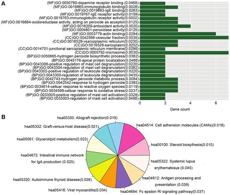 Functional Enrichment Analysis A Functional Annotations Of Gene