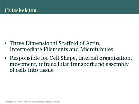 Chapter 3 Cells And Tissues Ppt Download