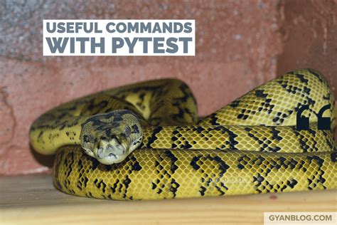 python some useful pytest commands gyanblog