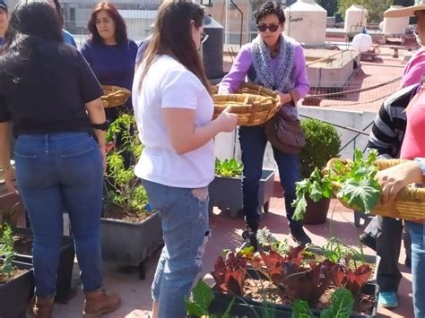 7 Beneficios De Tener Un Huerto Urbano Huertos En Casa Huertos Urbanos