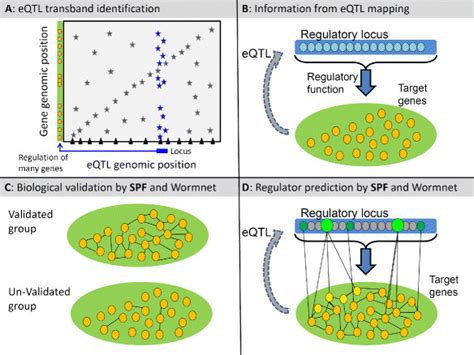Candidate Regulator Prediction For Natural Variation In Gene Expression