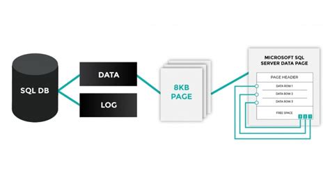 different kinds of servers functions of the server