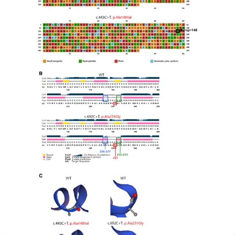 Structures Of The Wild Type And Mutated Trnt1 Proteins A Variant