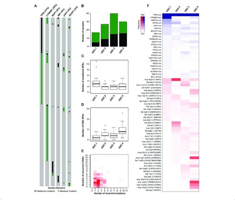 Oncogenic Signature Classes In Tp53 Mutant Hepatocellular Carcinoma