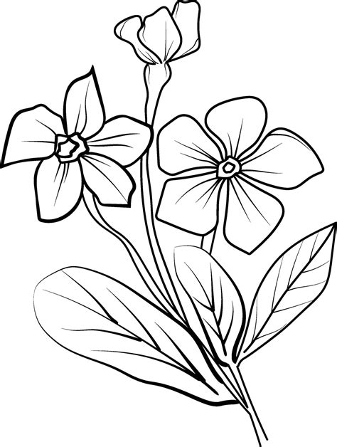Single Line Drawing Of Beauty Fresh Periwinkle For Home Wall Art Decor