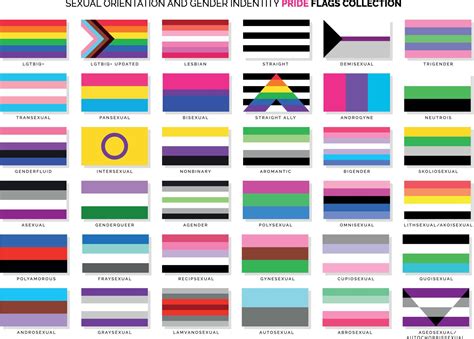 Banderas De Orientacion Sexual E Identidad De Genero 7657349 Vector En