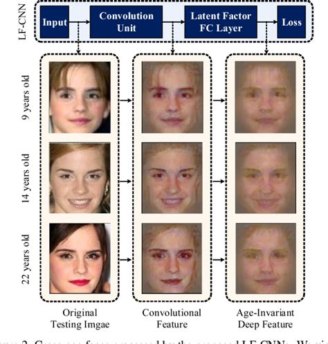 Figure 2 From Latent Factor Guided Convolutional Neural Networks For