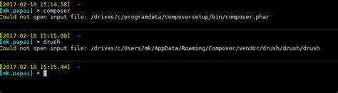 windows mobaxterm local terminal error could not open
