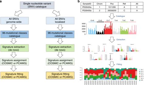 A Practical Guide For Mutational Signature Analysis In Hematological
