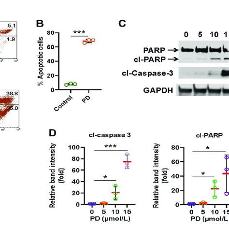 Platycodin D Inhibits Cell Viability And Colony Formation In Lung